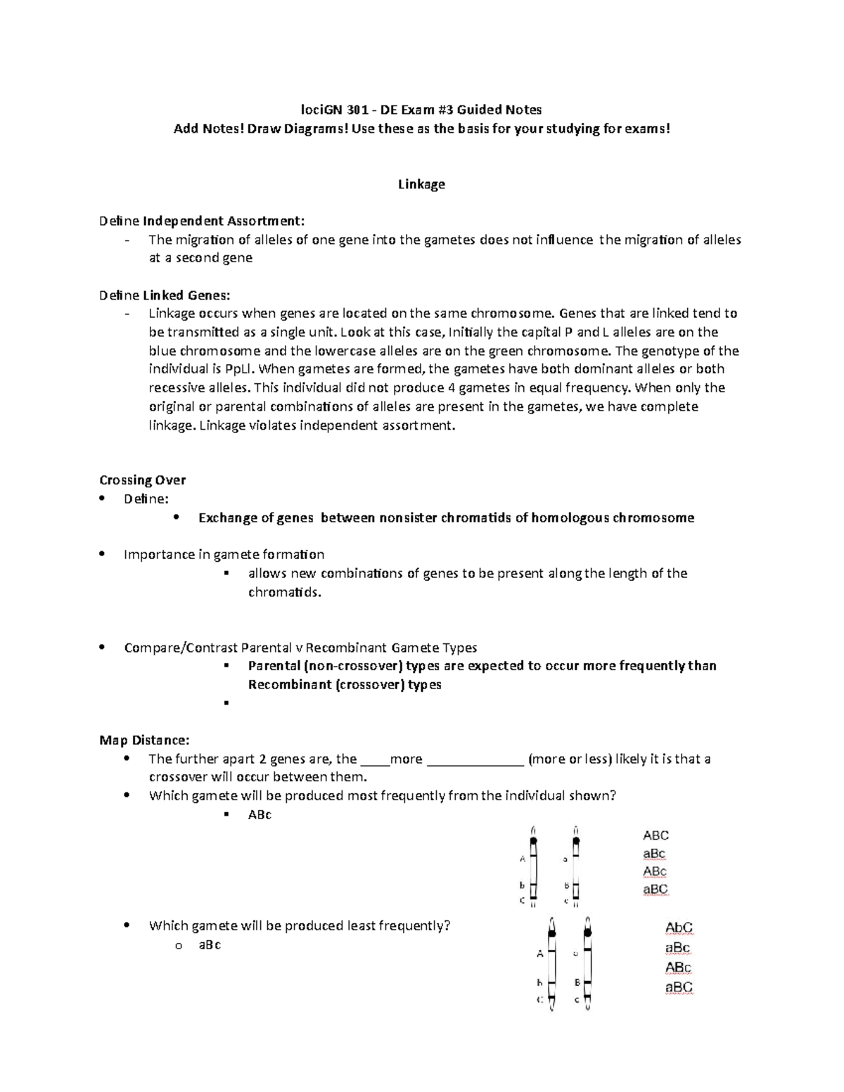 Test 3 guided notes - linkage, codominance, immunogenetics, - GN 301 ...