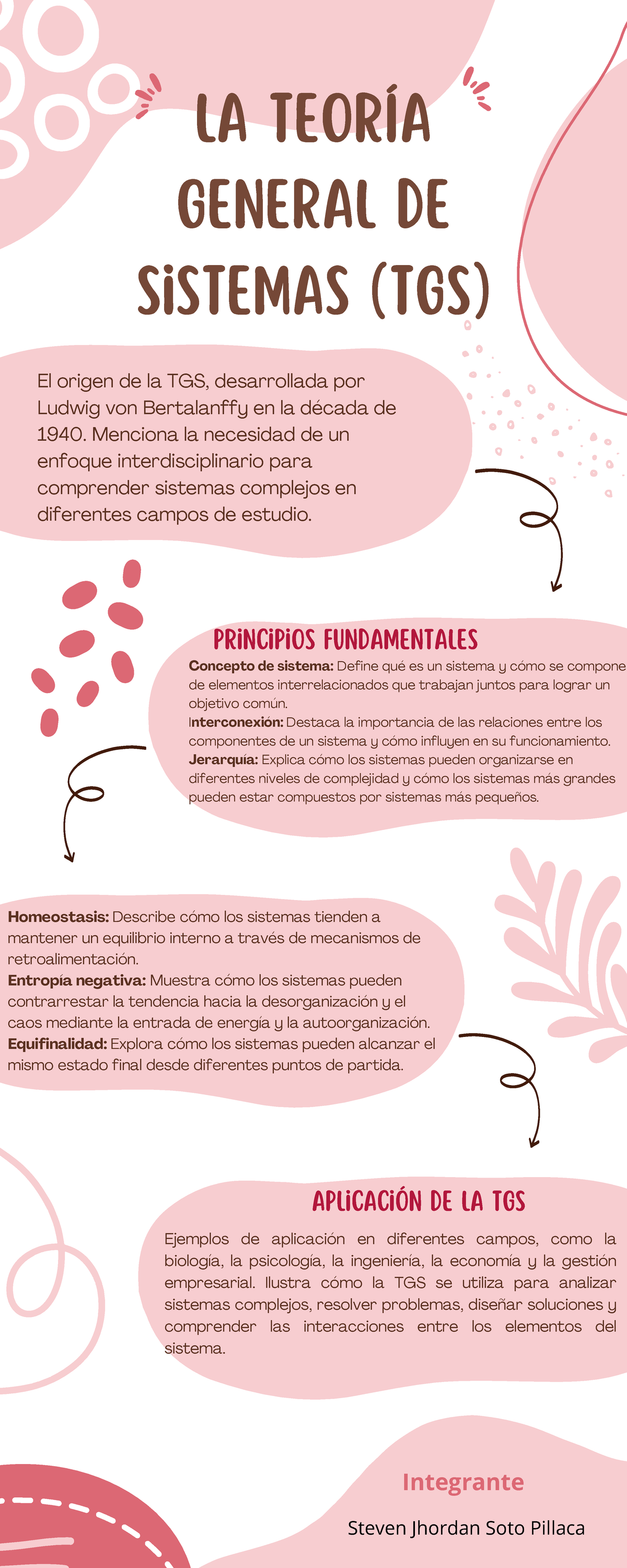 Infografia de teoría general de sistemas (TGS) - la teoría general de sistemas (TGS) El origen ...