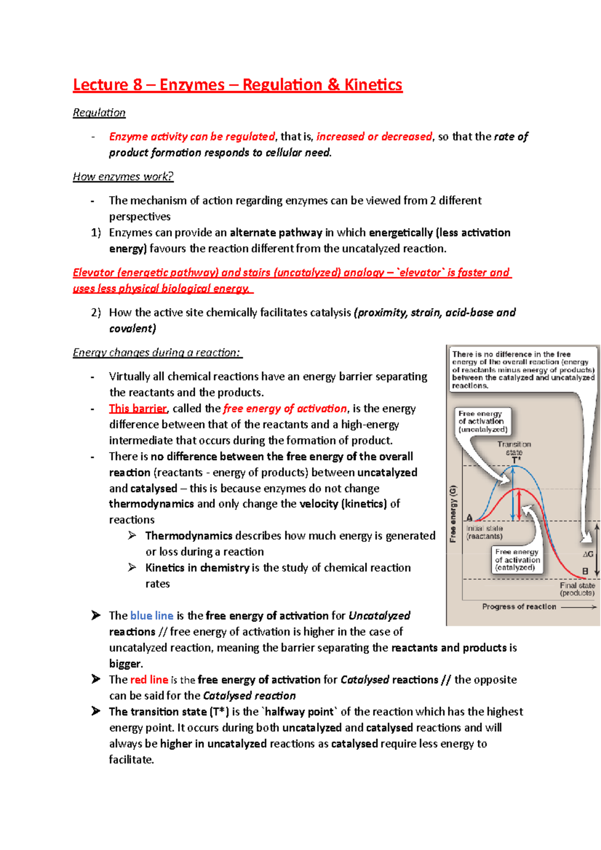 Life Science 1 - Enzymes Regulation Notes - Lecture 8 – Enzymes ...