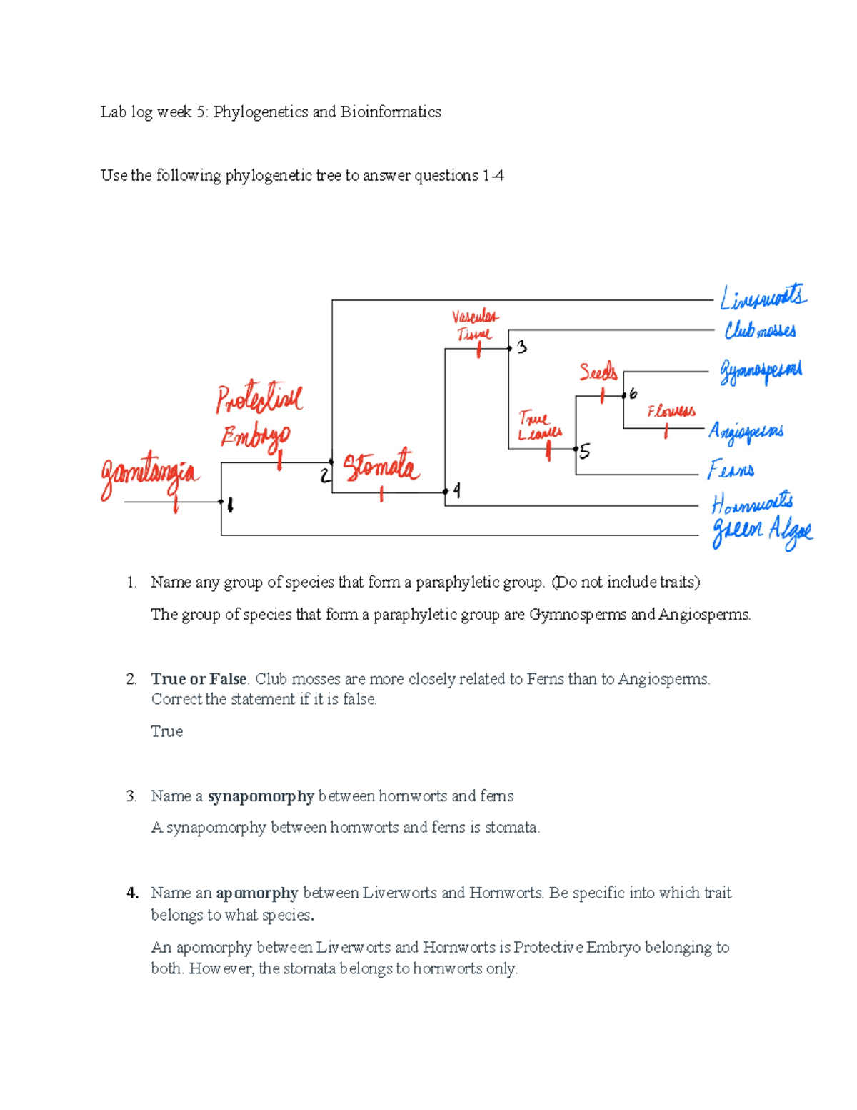 Lab log 5 - lab log for lab class - Lab log week 5: Phylogenetics and ...