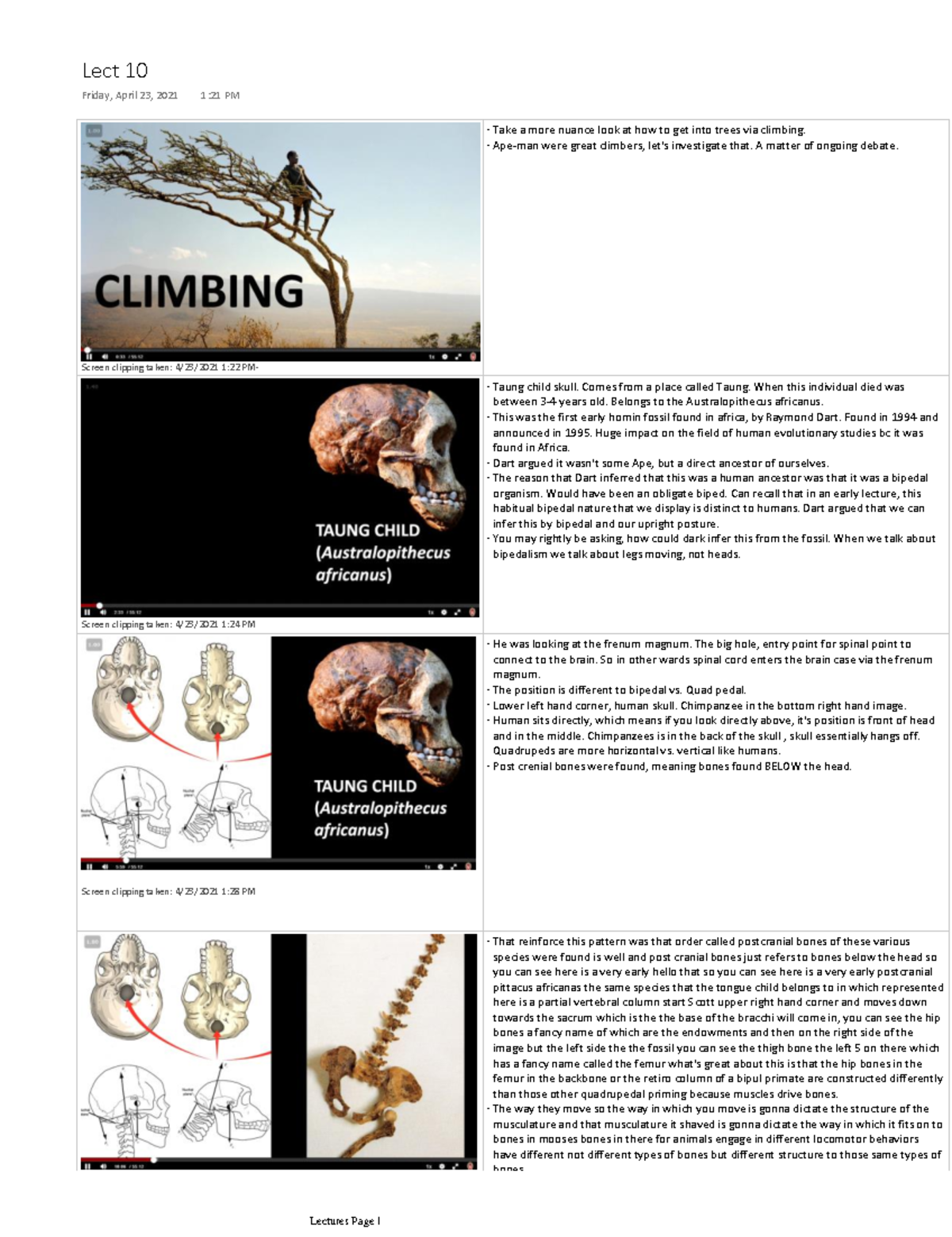 Lecture 10 - Professor Pickering - Screen clipping taken: 4/23/2021 1 ...