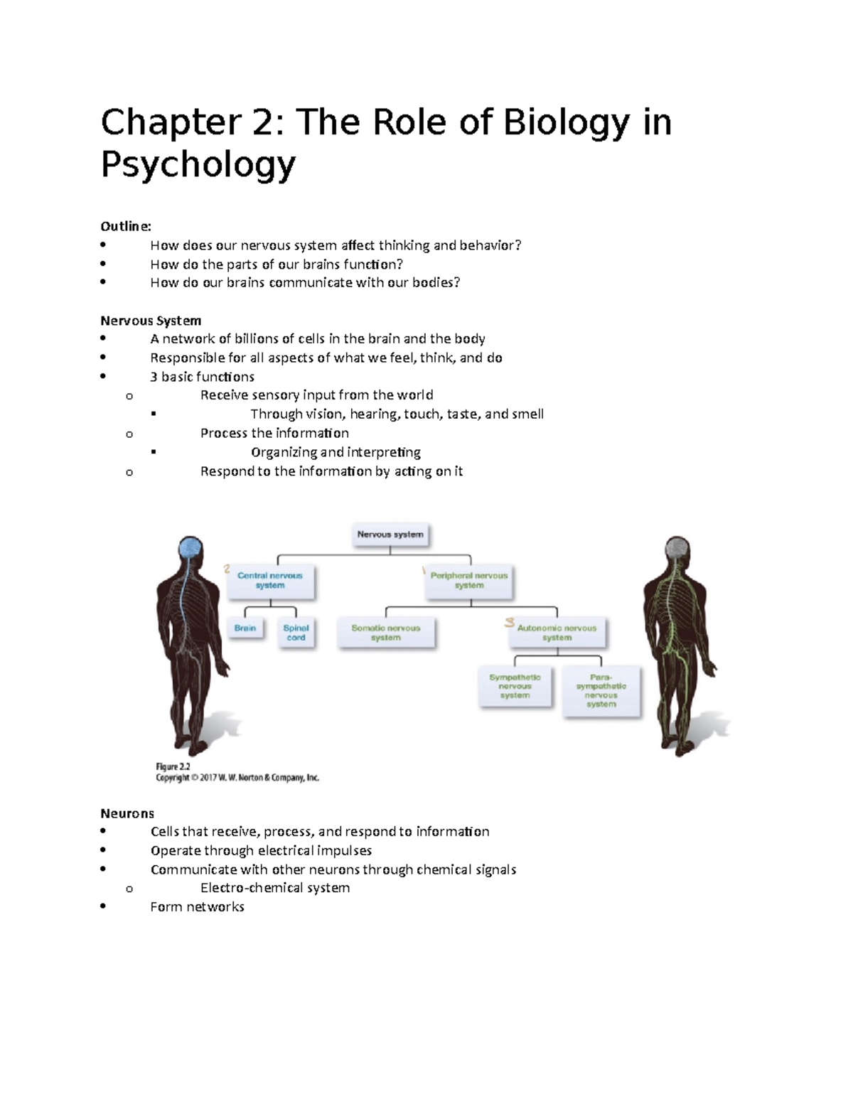 Chapter 2 Lecture Notes - Chapter 2: The Role of Biology in Psychology ...