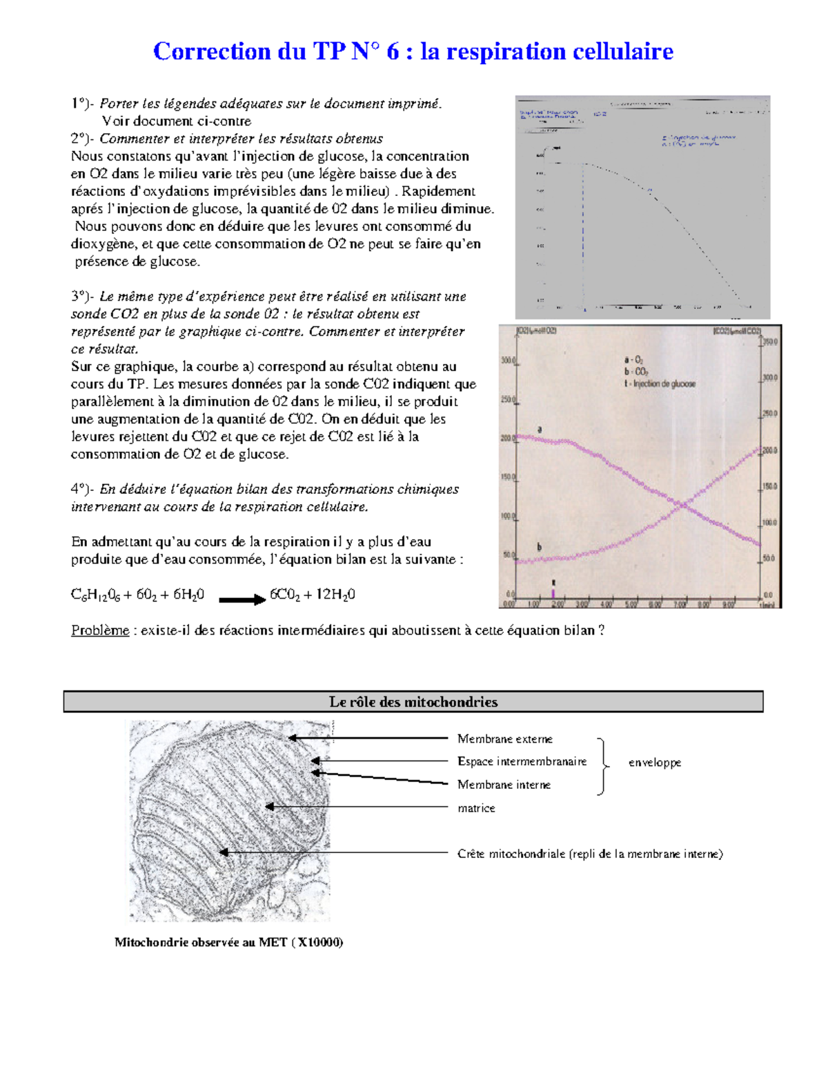 Correction TP6 - Correction du TP N° 6 : la respiration cellulaire 1°)- Porter les légendes ...