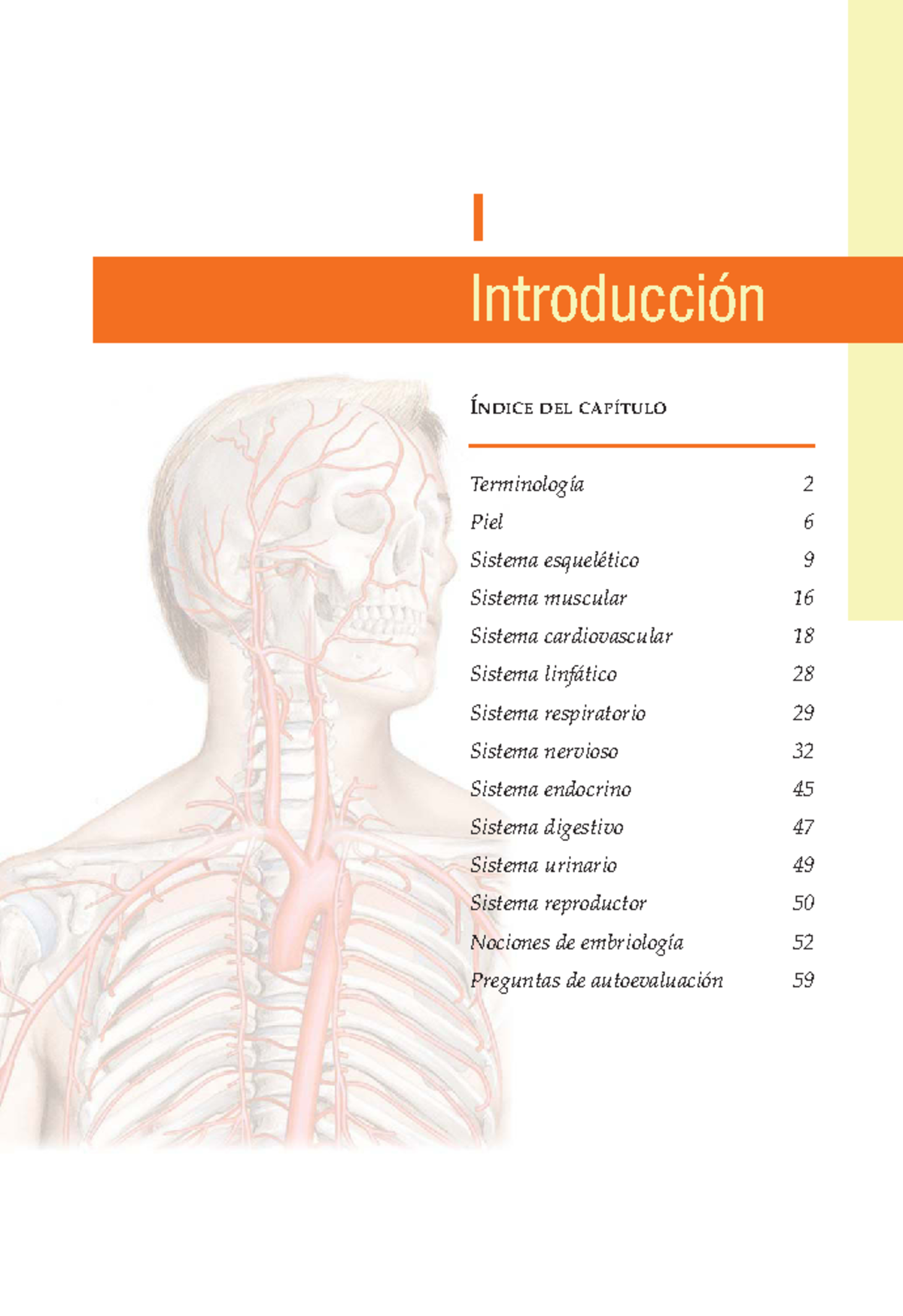 Anatomía Netter - Kinesiología - Introducción I Terminología ÍNDICE DEL ...