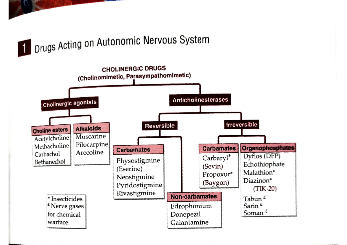 Pharmacology drug classification - Bsc Nursing - Studocu