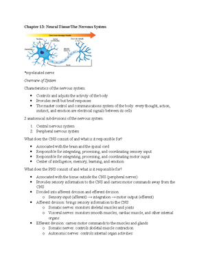 BIO 121 Lab Practical Study Guide (Diagrams) - BIO 121 - Studocu