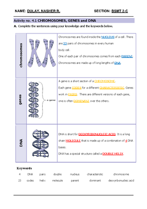 Activity no. 7.2 Point and Frameshift Mutation - Activity no. 5 Point ...