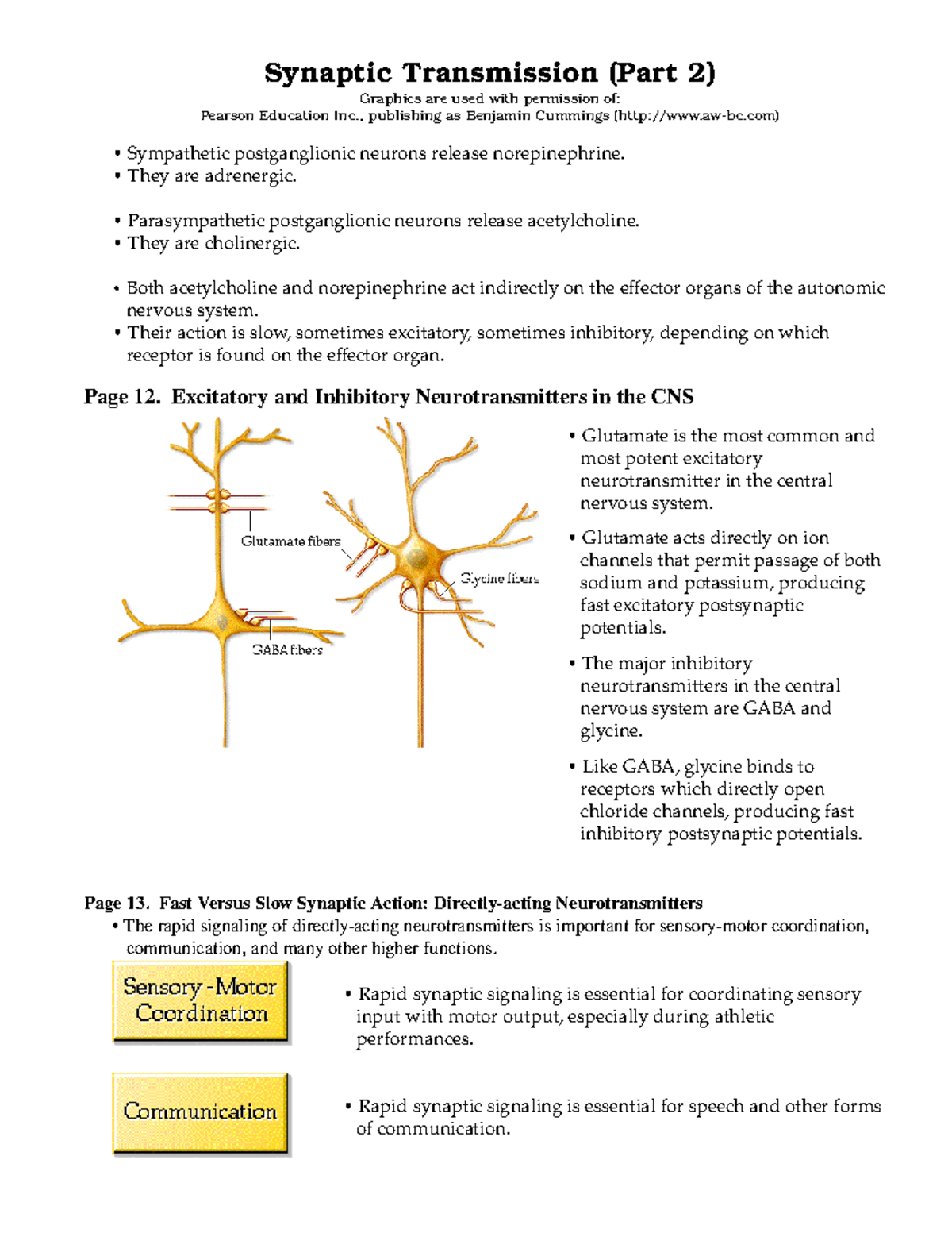 Nervous System: Synaptic Transmission Part 2 - Synaptic Transmission ...