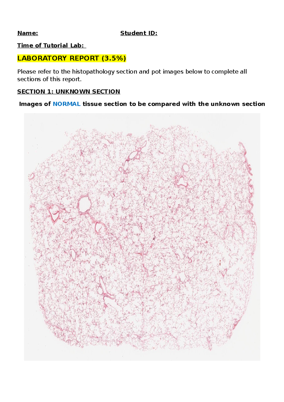 WEEK 7 - week 7 lab - Name: Student ID: Time of Tutorial Lab ...