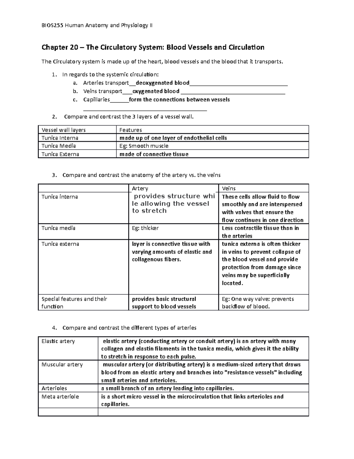 Chapter 20 Study Guide (Blood Vessels) - Chapter 20 – The Circulatory ...