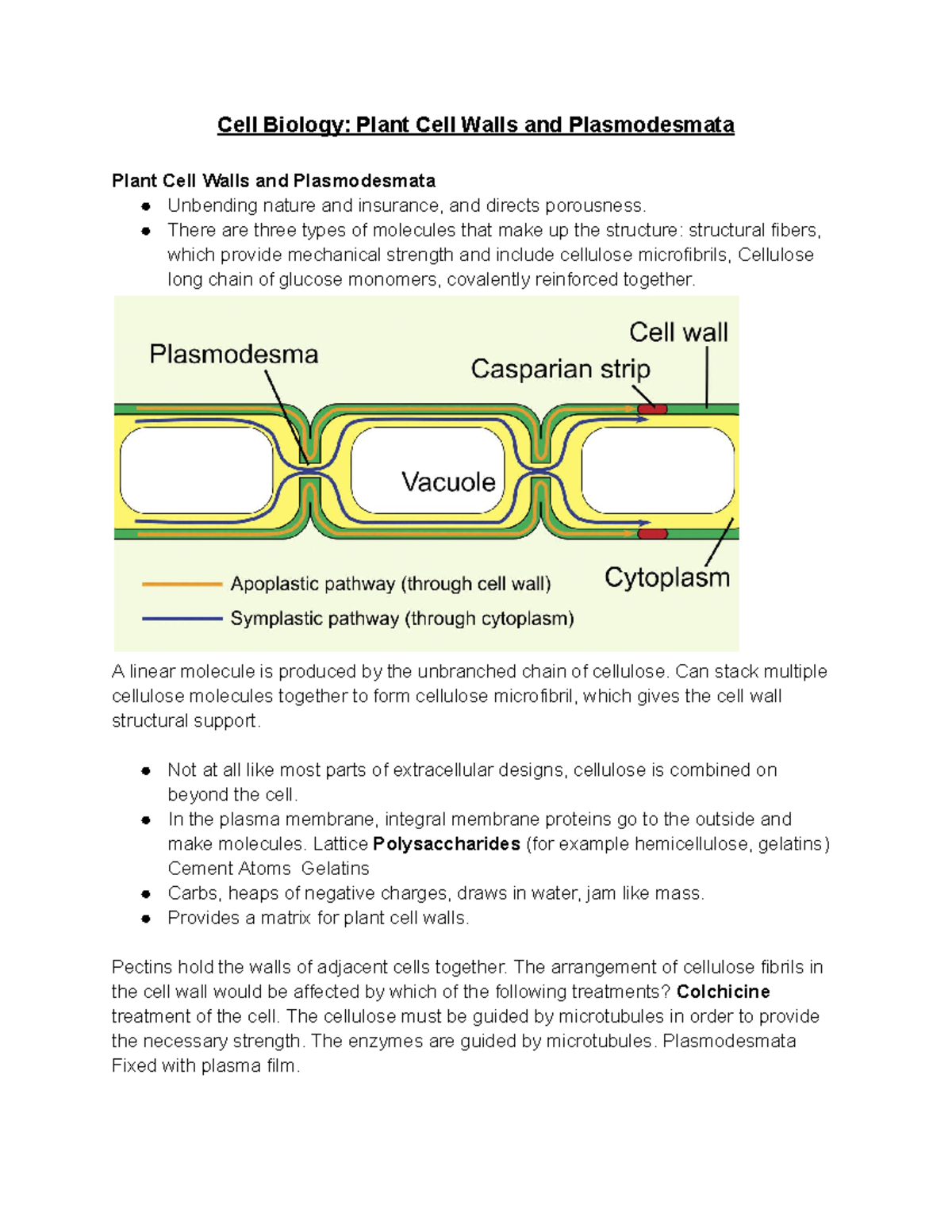 Cell Biology Plant Cell Walls and Plasmodesmata - There are three types ...