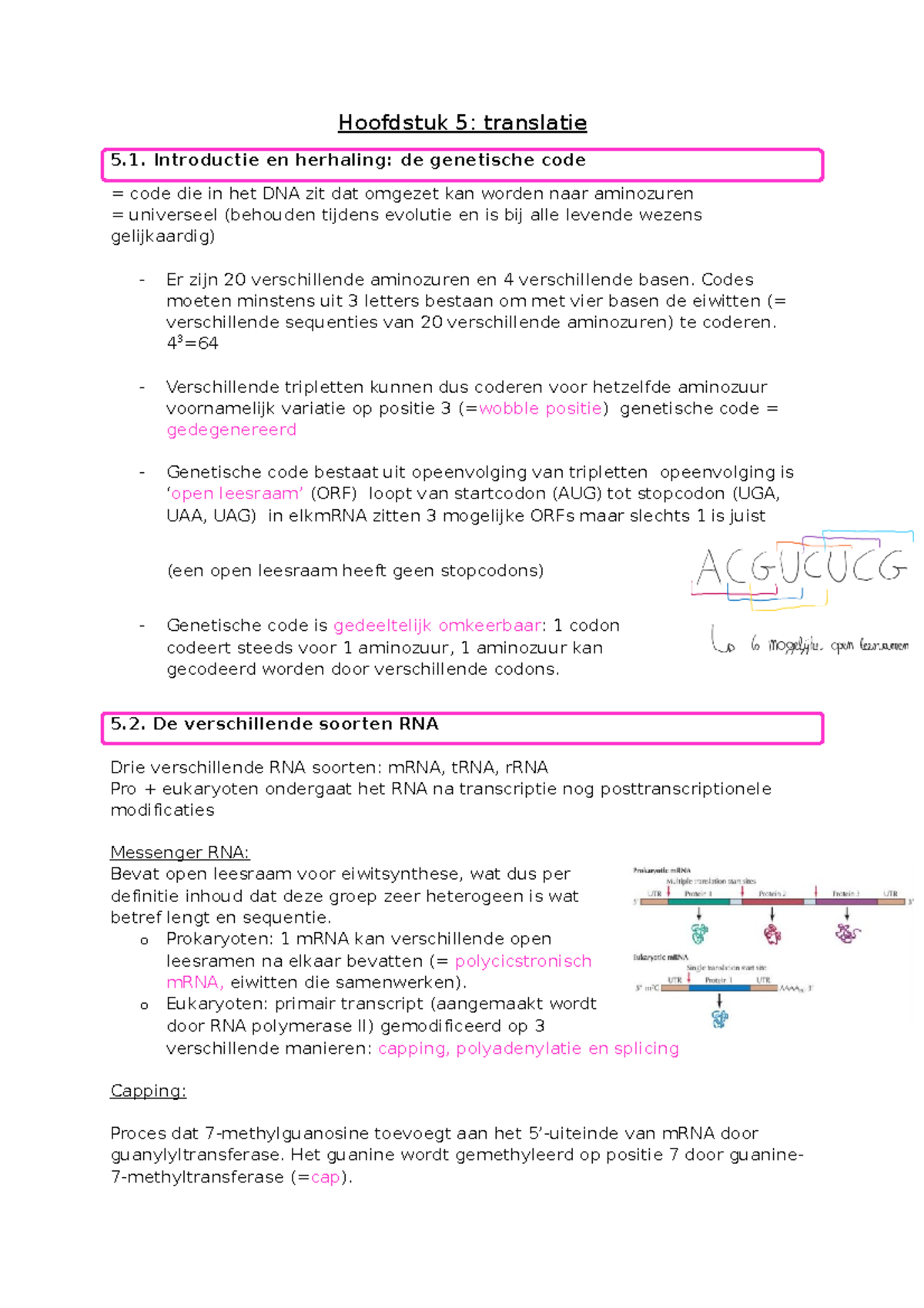 Hoofdstuk 5 translatie - Biochemie en moleculaire biologie - KU Leuven ...