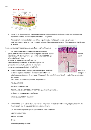 Indice de torg pavlov 10 - UNIVERSIDAD NACIONAL DE LA RIOJA Índice de ...
