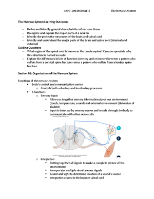 Intro to Anatomy ANAT 100 Module 04 Muscles Basics - Learning Outcomes ...