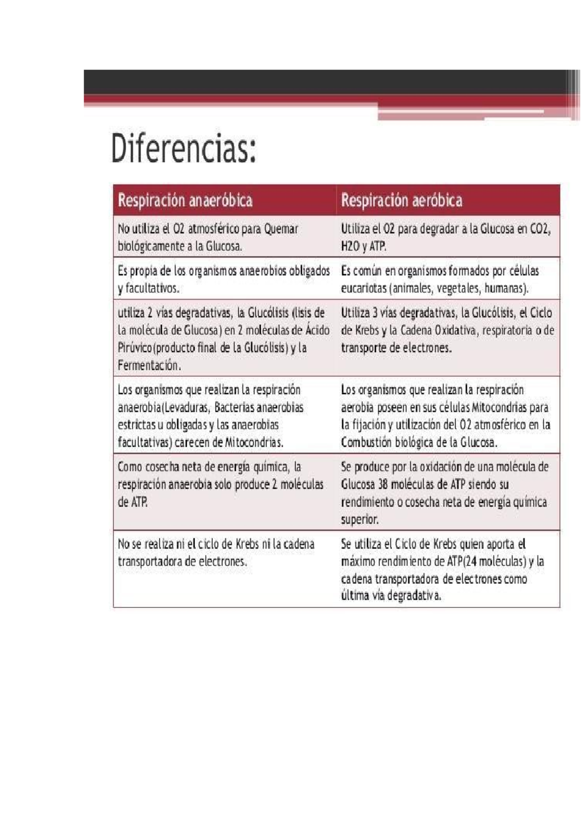 Diansa - solo trabajo - Diferencias: Respiración anaeróbica Respiración ...