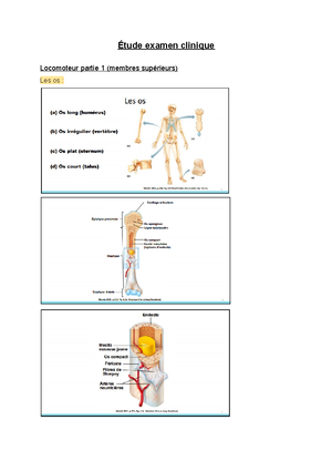 RÉSUMÉ Examen 1 - Résumé - EXAMEN CLINIQUE 1 – EXAMEN 1 ÉCRIT SYSTÈME ...