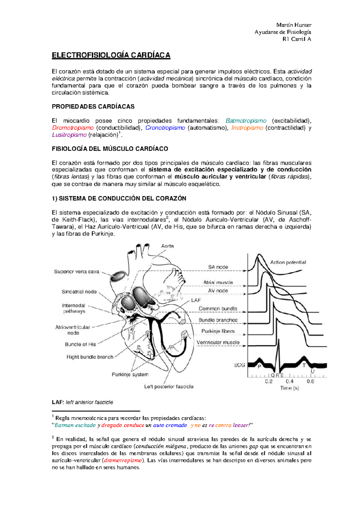 Electrofisiología Cardiaca - Ayudante de Fisiología R1 Carril A ...