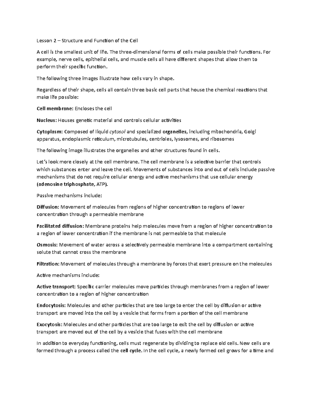 Lesson 2 – Structure and Function of the Cell - Lesson 2 – Structure ...