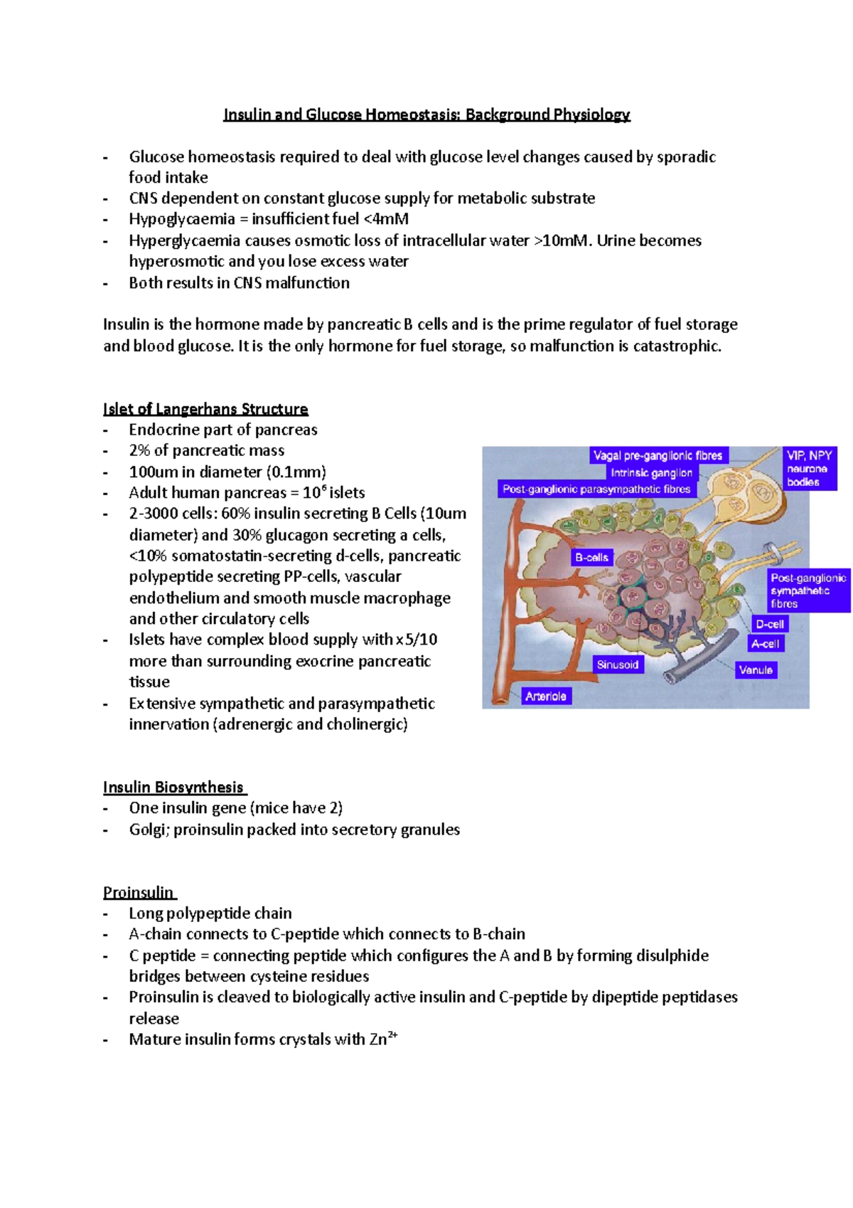 L1-3 Introduction to Diabetes - Insulin and Glucose Homeostasis ...