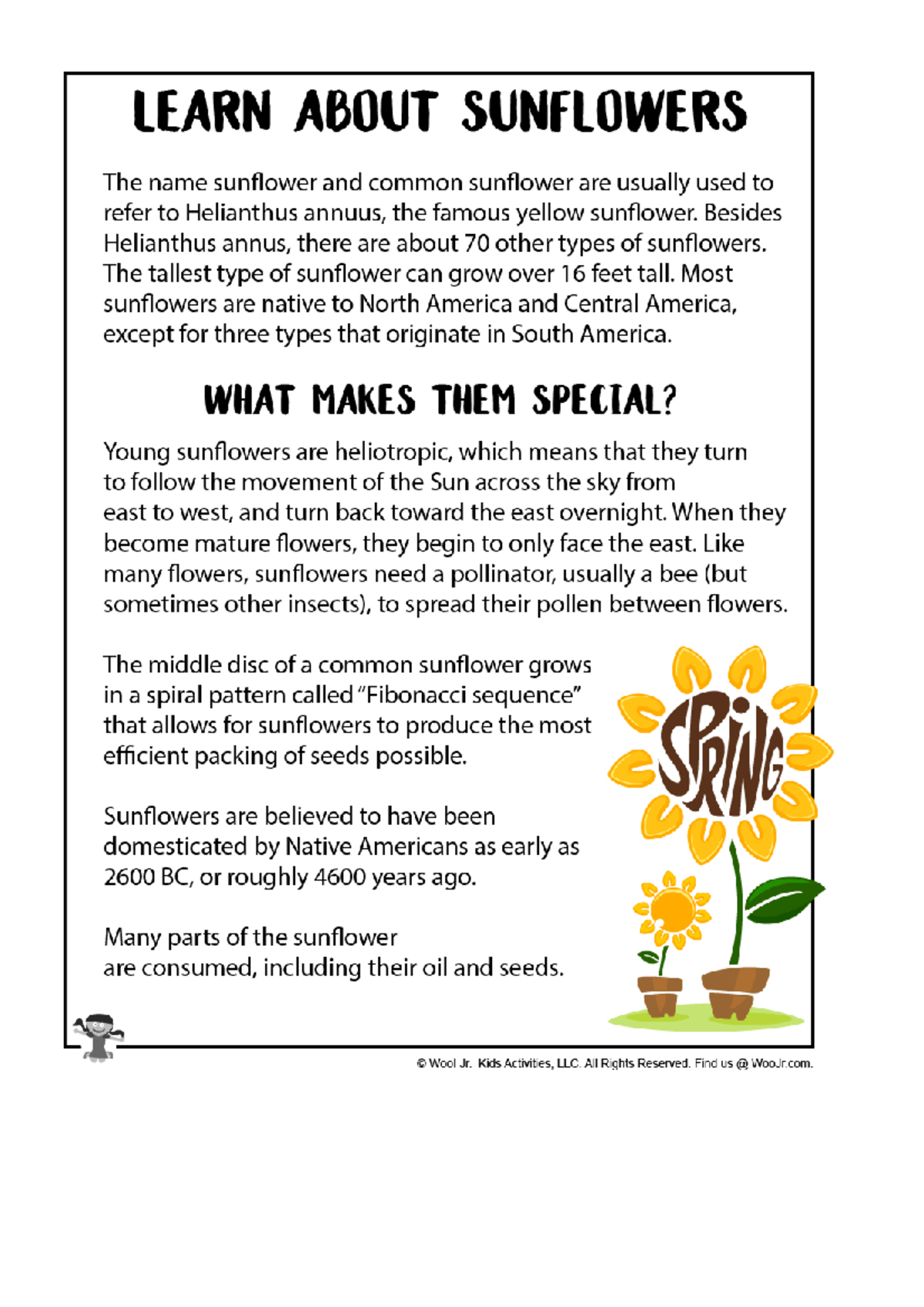 Teach Kids about Sunflowers Woo Jr. Kids Activities Children's ...