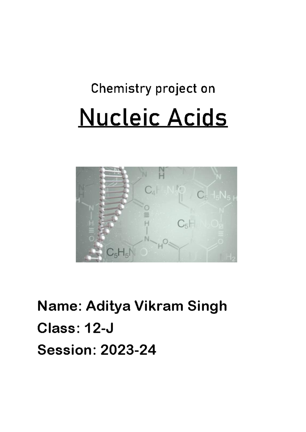 Nucleic Acids - nuclic acid - Chemistry project on Nucleic Acids Name ...