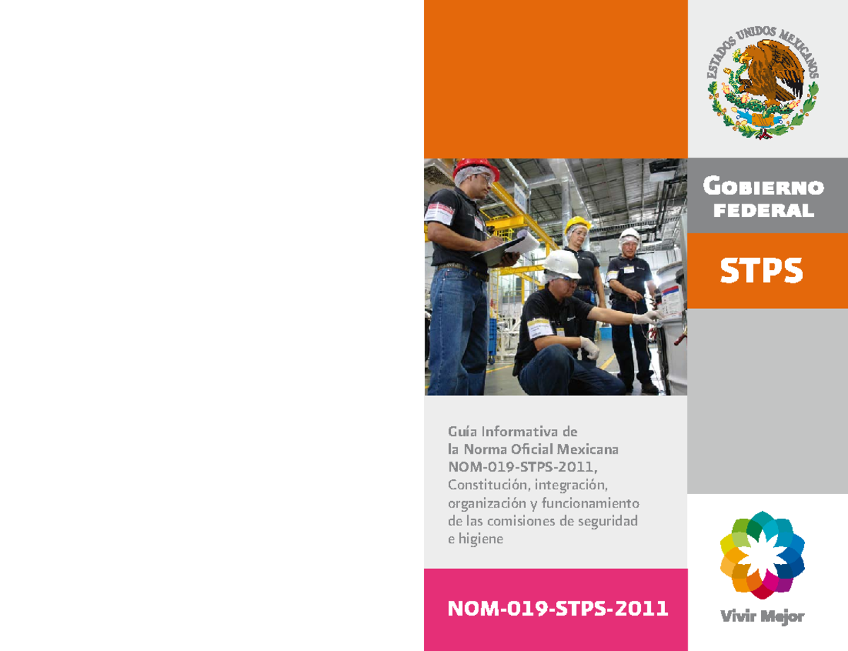 Guia 019 - STPS Guía Informativa de la Norma Oficial Mexicana NOM-019 ...