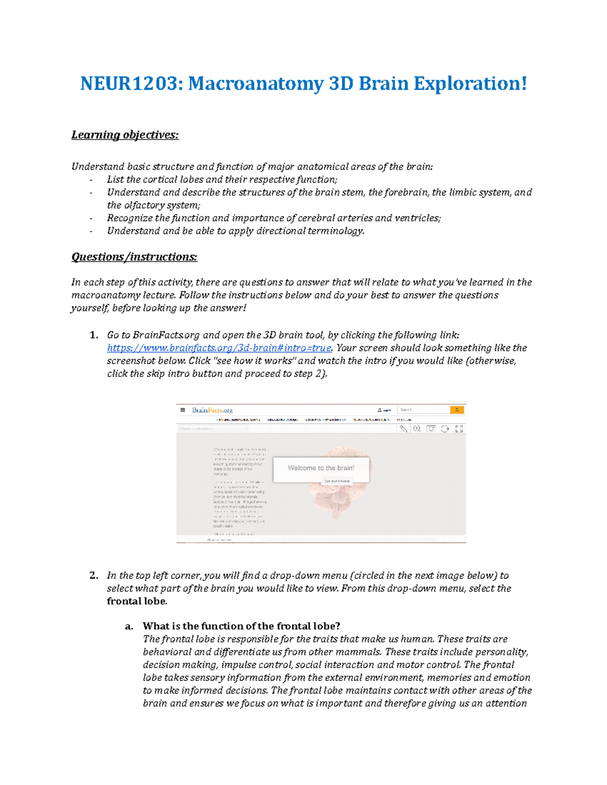 NEUR 1203 - Lecture 2, Macroanatomy Learning Tool Worksheet - NEUR1203 ...
