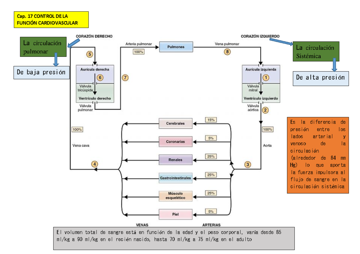 Resuenen cardiología - Warning: TT: undefined function: 22 Warning: TT: undefined function: 23 ...