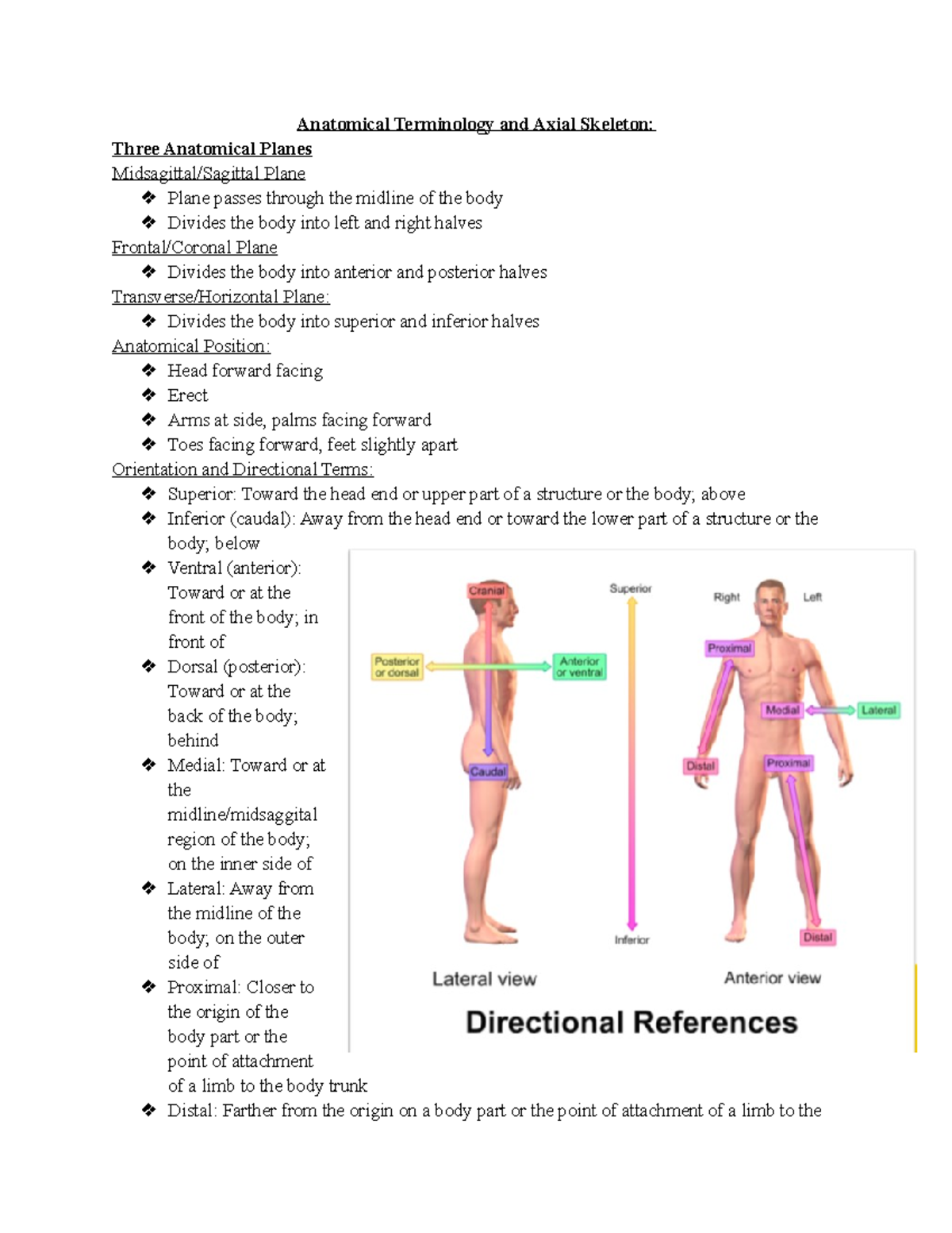 Lab Week 1 Anatomical Terminology and Axial Skeleton - Anatomical ...
