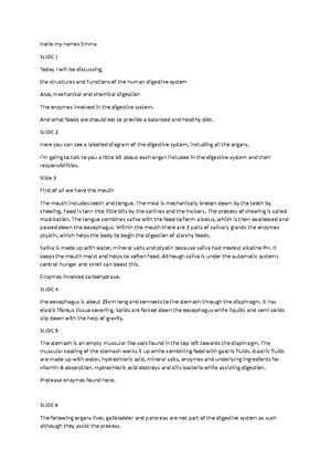 The Human Nutrition & digestive system, a presentation by Kim lawley ...