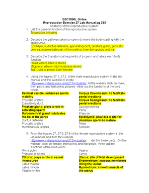 Ap2 ex 21 blood vessels online - BSC 1086L Online Lab Circulatory ...