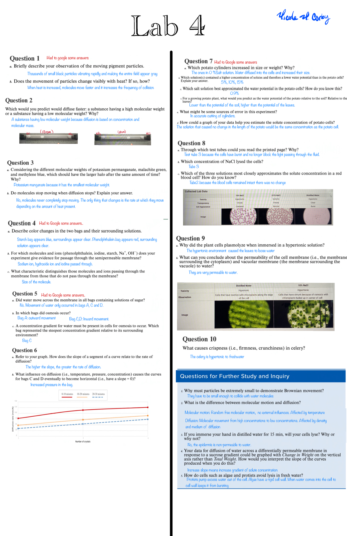 Lab 4 - Lab workbook answers - Lab 4 Had to google some answers ...