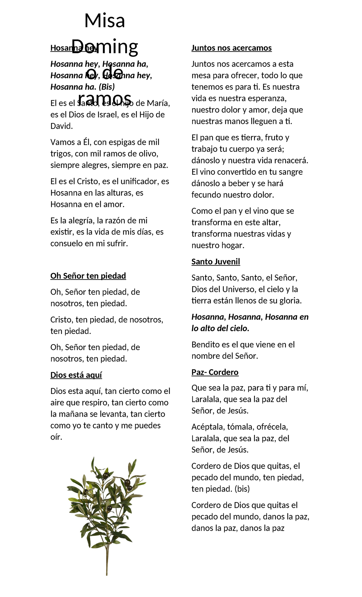 1234567891223456 - Misa Doming o de ramos Hosanna hey Hosanna hey ...