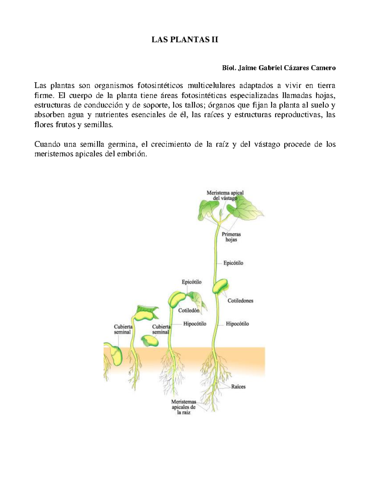 Las plantas II (2023) - Resumen Botánica - LAS PLANTAS II Biol. Jaime ...