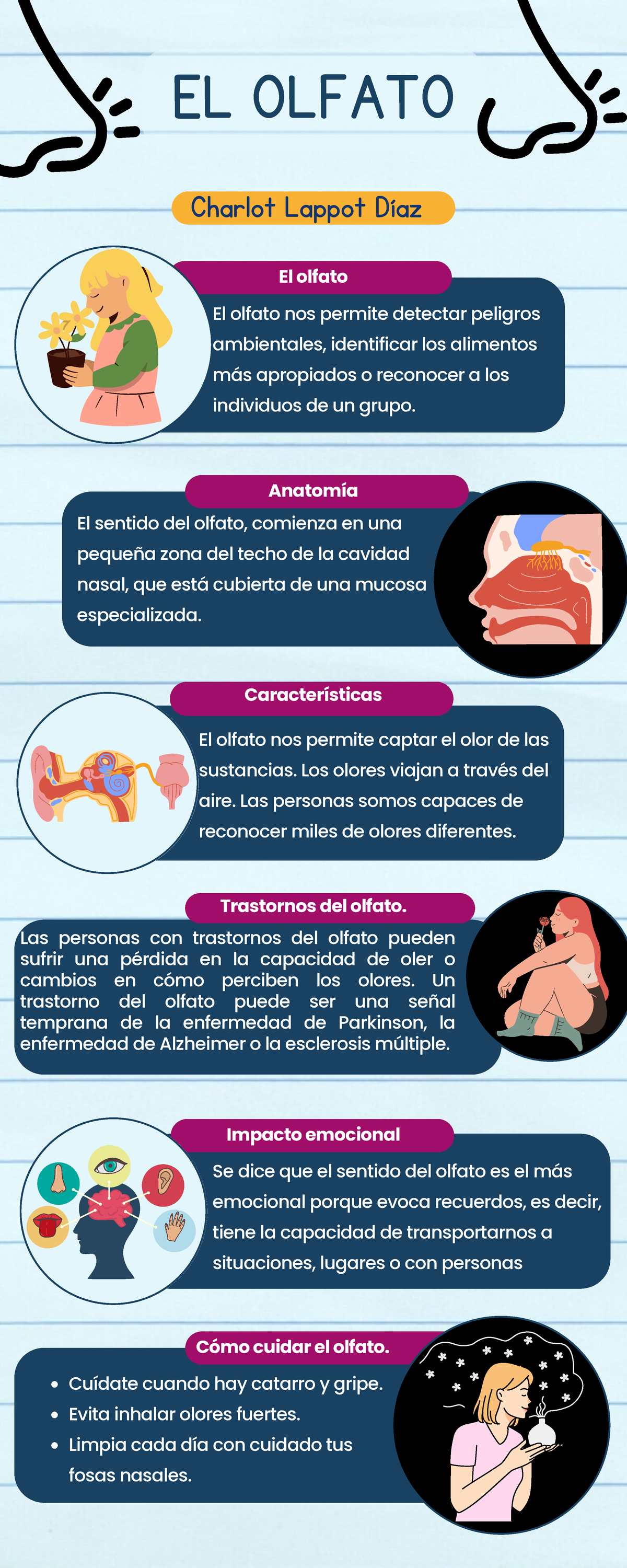 Infografía del olfato - EL OLFATO El olfato nos permite captar el olor ...