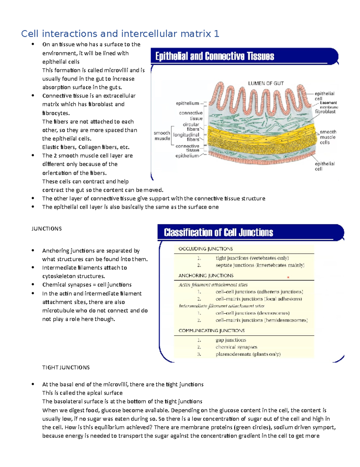 Cell interactions and intercellular matrix notes - Dr Reinhardt - Cell ...