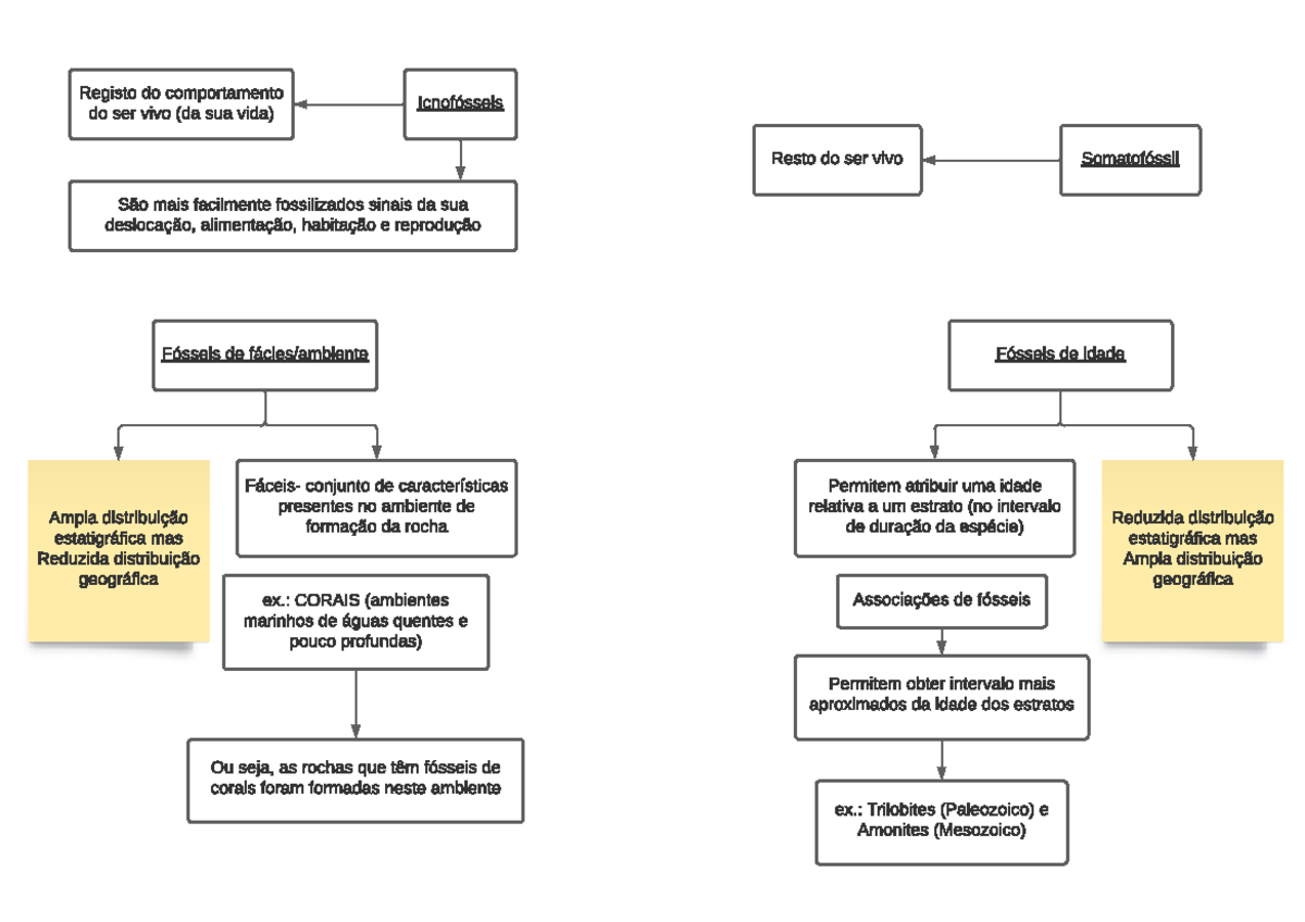 3. Tipos de fósseis - kokokok - Icnofósseis Registo do comportamento do ...