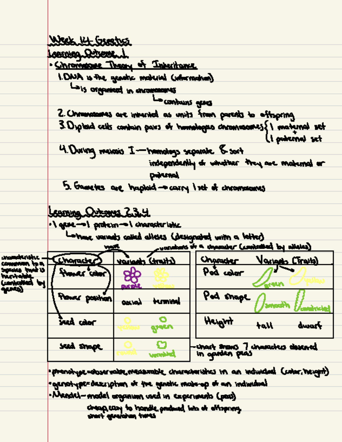 Bio 181 These Are Notes I Used For My Bio 181 Final Week14