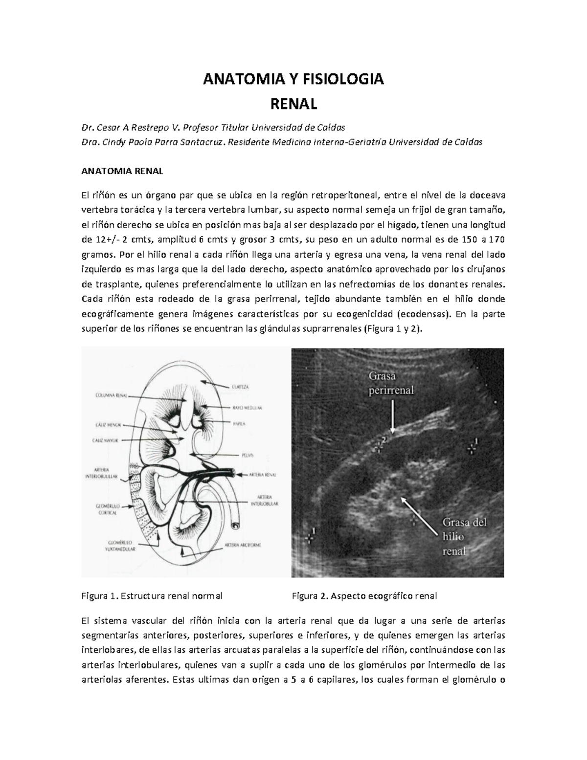 Anatomia Y Fisiologia Renal - Warning: TT: undefined function: 32 Warning: TT: undefined ...