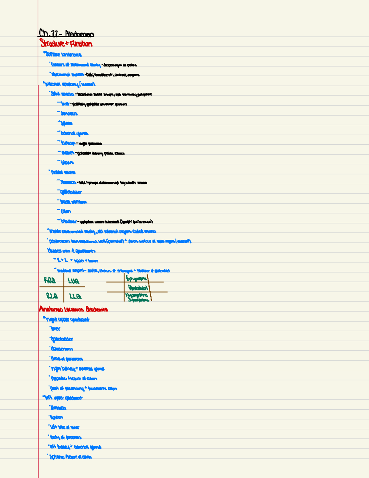 HA ch22 - shortreed - abdomen - Ch- Abdomen Structure+ Function ...