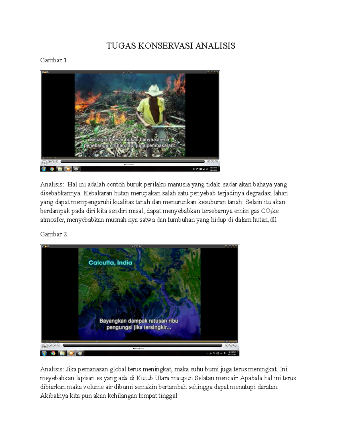 Tugas konservasi - TUGAS KONSERVASI ANALISIS Gambar 1 Analisis: Hal ini ...