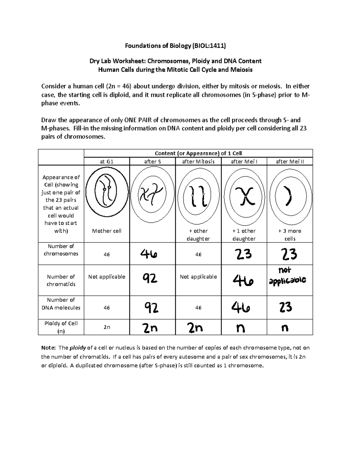 Foundations of Biology - Lab Worksheet 2 - Foundations of Biology (BIOL ...