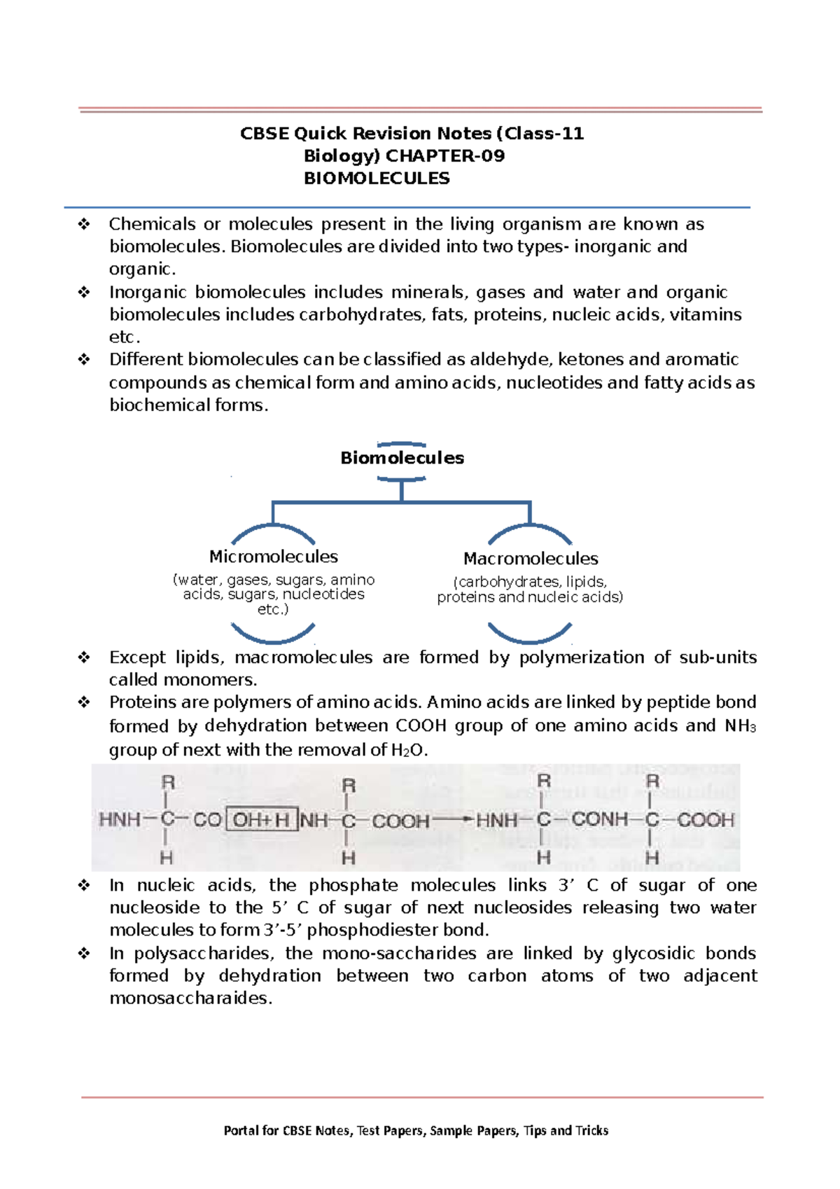 11 biology notes ch09 biomolecules - CBSE Quick Revision Notes (Class ...