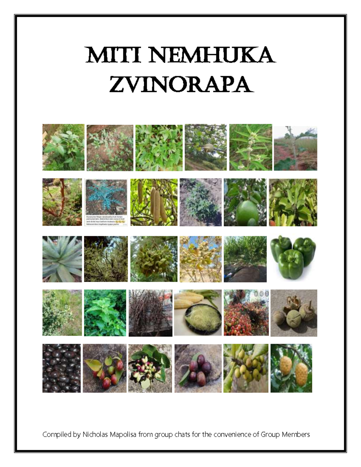 Miti ne Mhuka Dzinorapa - MITI NEMHUKA ZVINORAPA HOW TO USE GARLIC ...