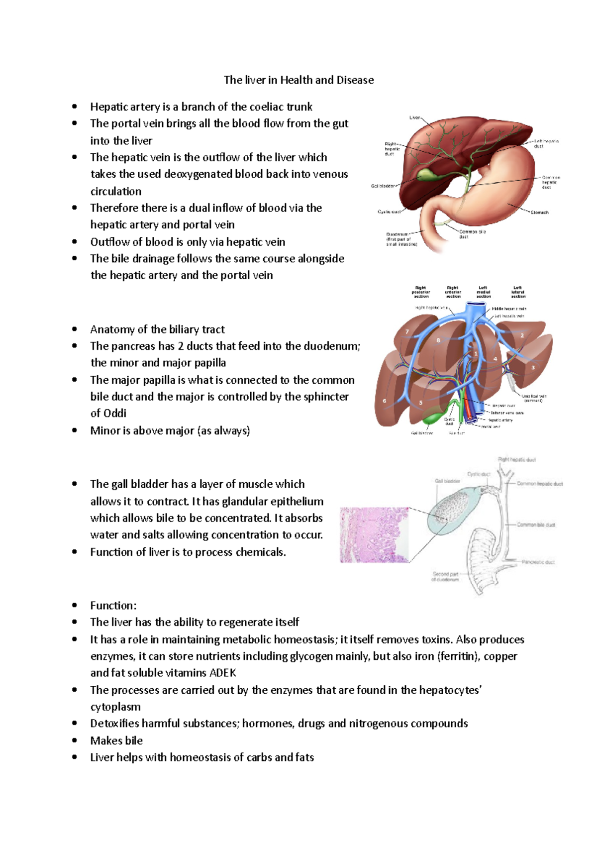 The liver in Health and Disease - The liver in Health and Disease - Studocu