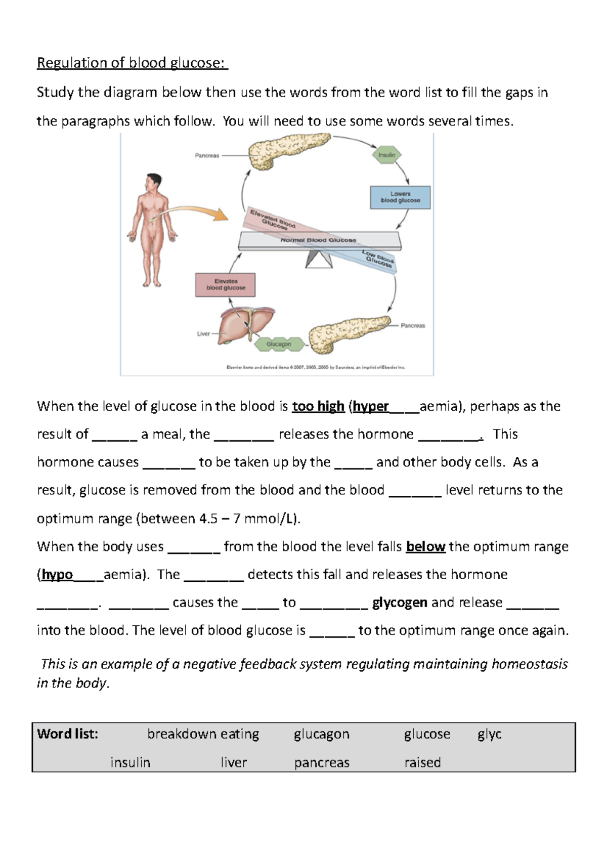 Regulation of Blood Glucose Levels - Regulation of blood glucose: Study ...