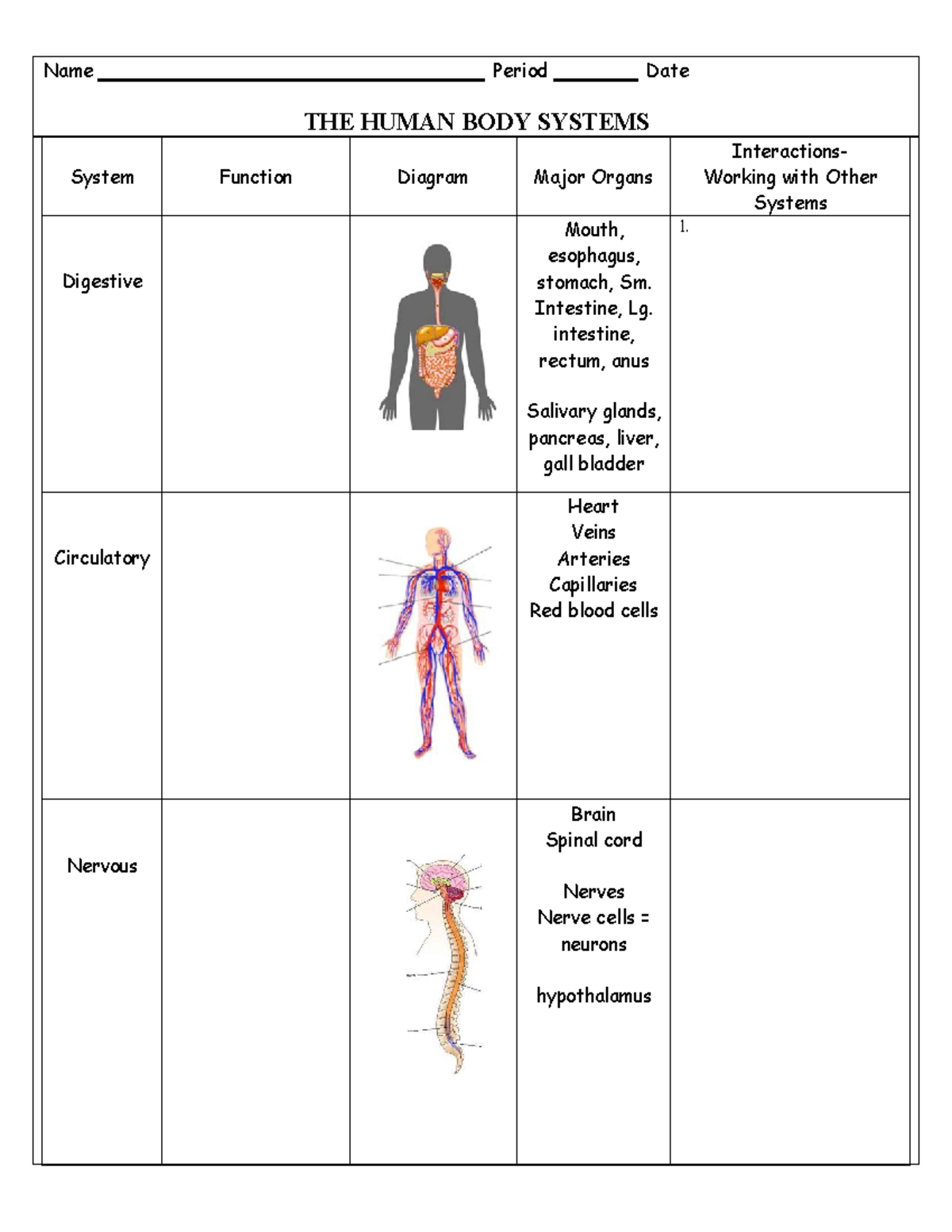 12 - Extra 3 11 - Interactions of Systems - Name Period Date THE HUMAN ...