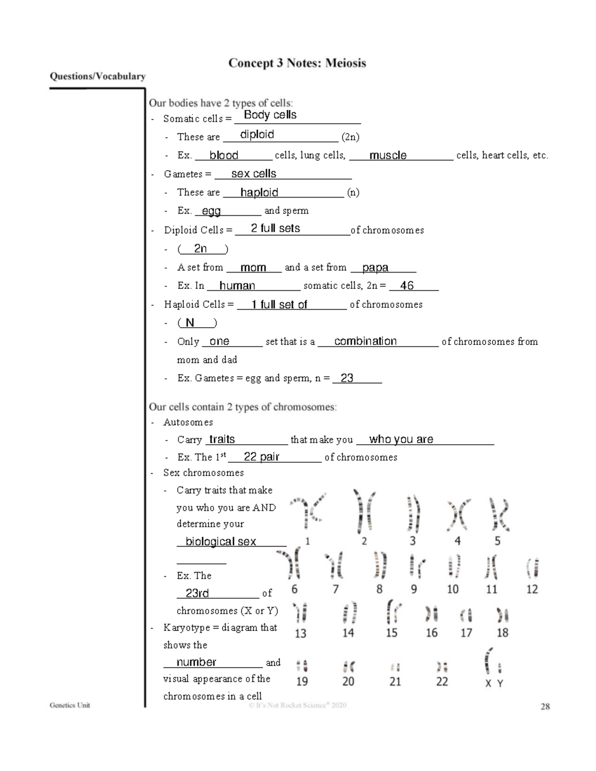 Bio 1-18 - my notes - Somatic cells = _______________________ These are