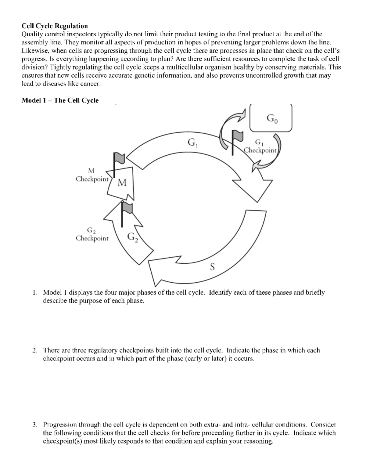 Cell Cycle Pogil Fa2021 10 BIO 131 Studocu