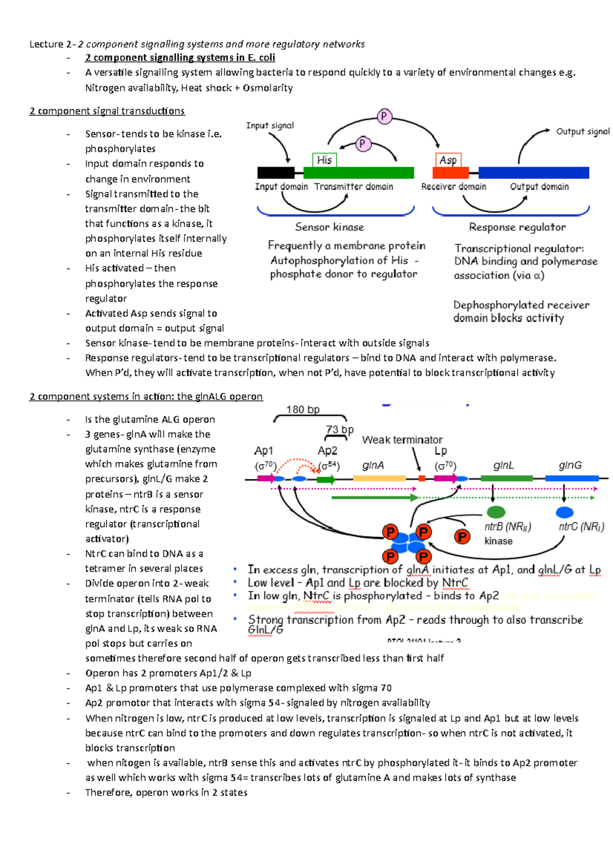 Lecture 2 RN - Lecture 2- 2 component signalling systems and more ...